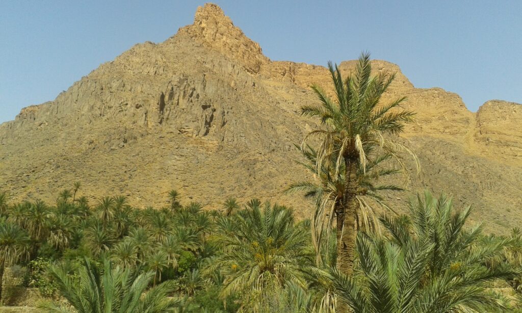 Attraction of the Jbel Bani Geopark in Southern Morocco - DURABILITE ...